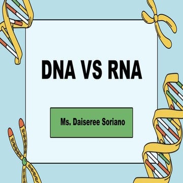 Dna Vs Rna Venn Diagram