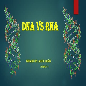 DNA vs RNA with good activity and engage | PPTX