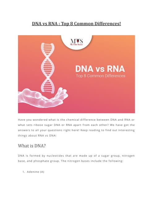 Compare And Contrast Dna And Rna | PPT