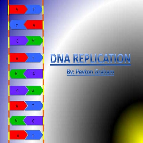 Dna walker graham | PPTX