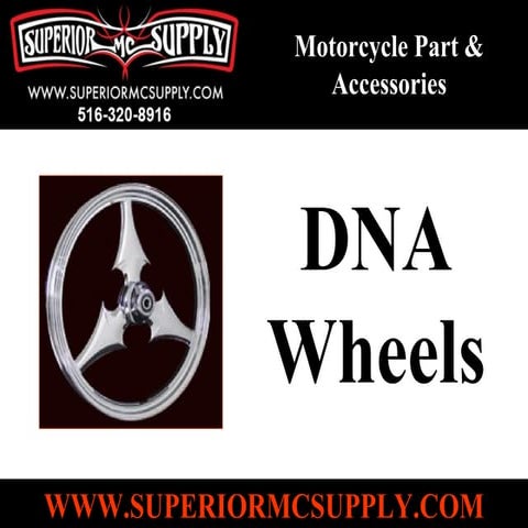 DNA Wheels | PPT