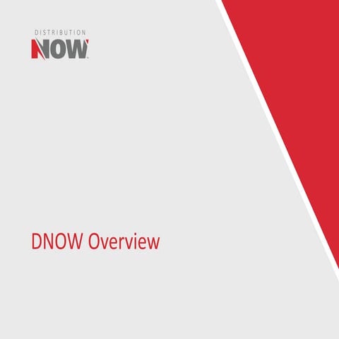 DNOW Overview Europe | PDF