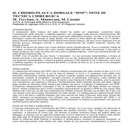 Il chiodo-placca dorsale "DNP" | PDF