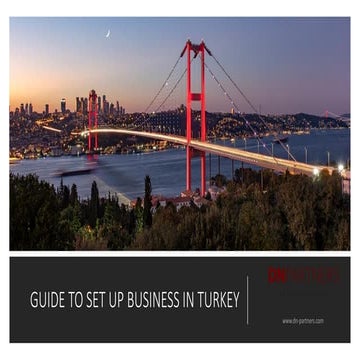 DNPartners - Guide to Set up Business in Turkey 2022.pdf