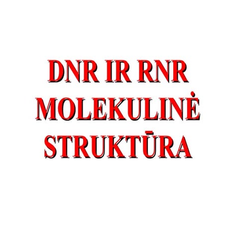 DNR ir RNR molekulinė struktūra | PPT