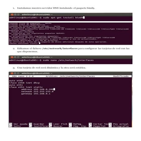 Manual de instalacion de Dns-linux-ubuntu | DOCX