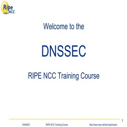 Dnssec | PDF