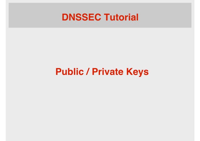 Understanding DNS Security | PPTX