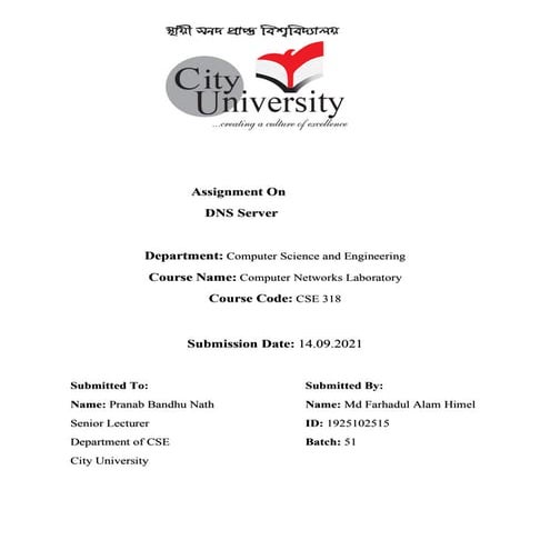 Dns server | PDF | Computer Networking | Computing