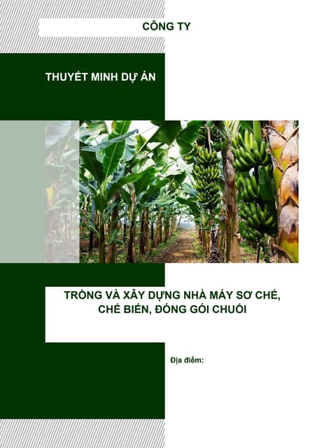 Thuyết Minh Dự án Trồng Chuối Công Nghệ Caodocx
