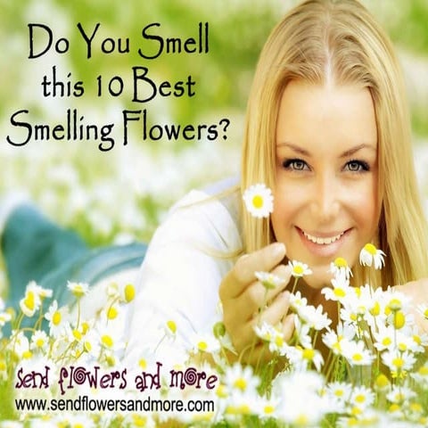 Do You Smell this 10 Best Smelling Flowers? | PPTX