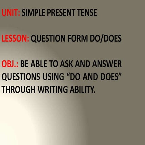 do and does class.pptx