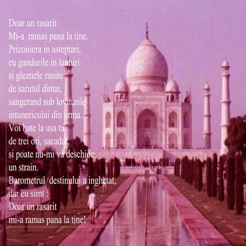 Doar un rasarit | PPT