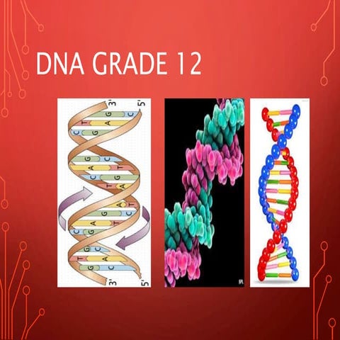 1. DNA CODE OF LIFE. .pdf