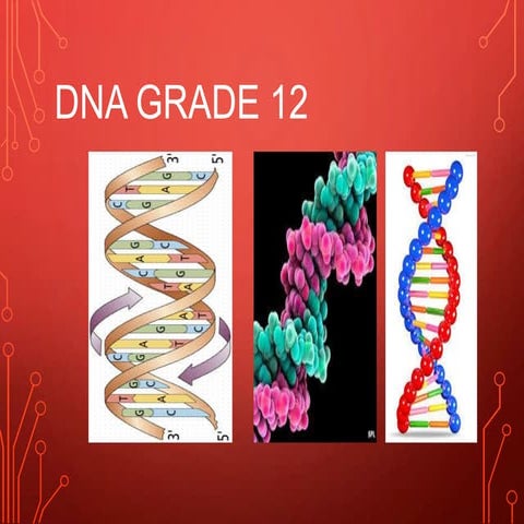 DNA Grade 12 | PPTX