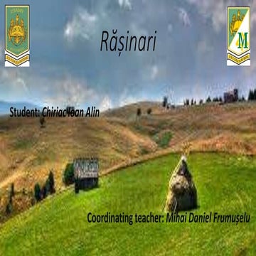 Rasinari | PPT