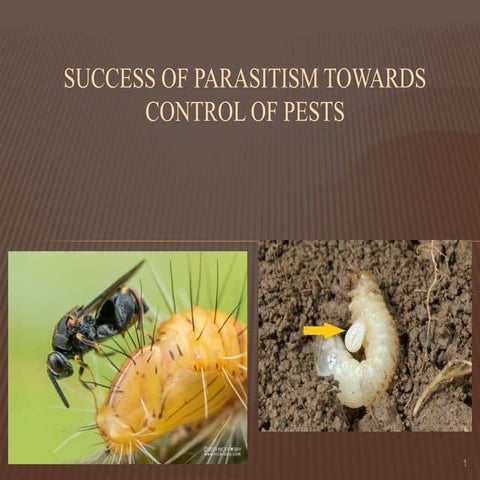 Types of parasitoids and parasitism ppt | PPTX
