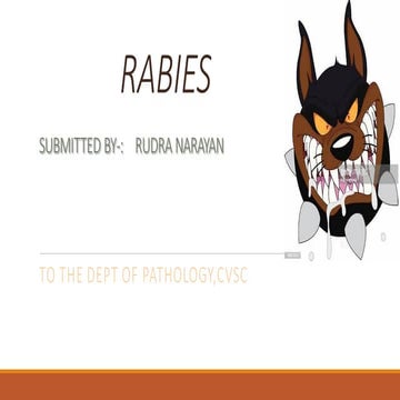 Rabies Pathology . Rabies causes treatment | PDF