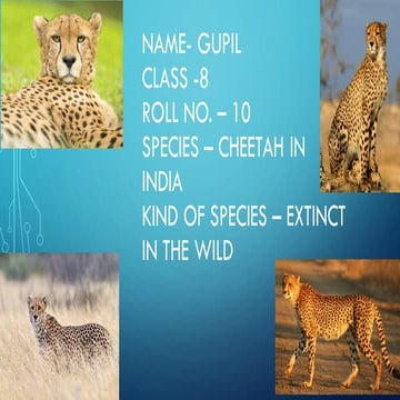 EXTINCT SPECIES (INDIA) | PPTX