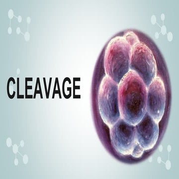 Cleavage: Definition, types, and mechanism | PPTX
