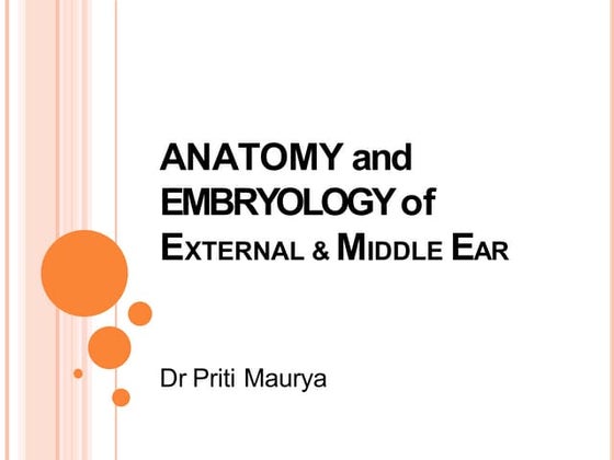 Anatomy of external ear | PPT | Ear, Nose and Throat Conditions ...
