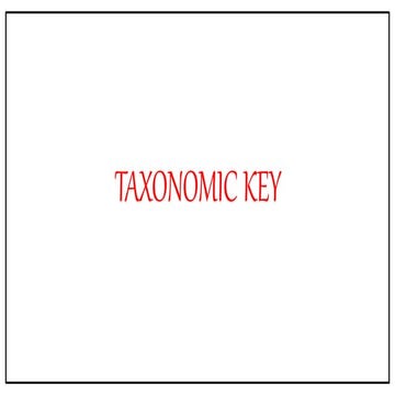 Taxonomic keys and. Their types. .pptx