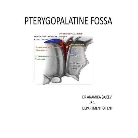 Pterygopalatine fossa -anatomy and approaches | PDF