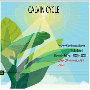 Calvin cycle presentation. A brief and chart presentation of Calvin ...
