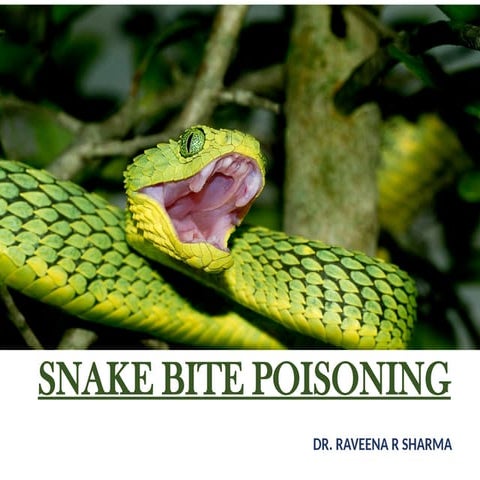 Snake bite poisoning.. venomous..treatment | PPTX