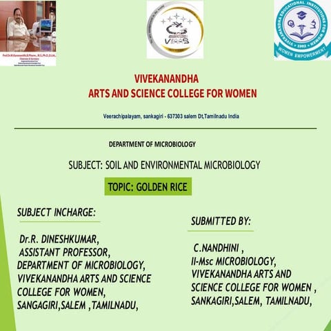 Golden Rice of genetic modification crop | PDF