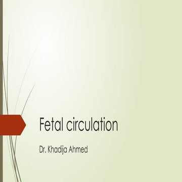 Fetal Circulation Pptx
