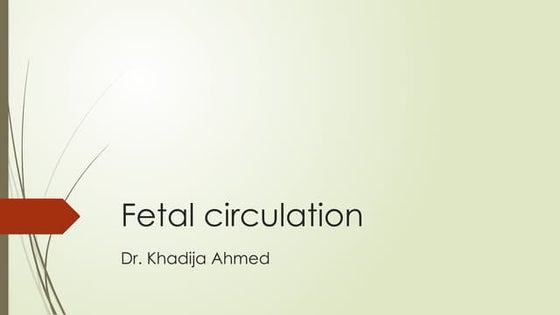 Fetal Circulation .pptx
