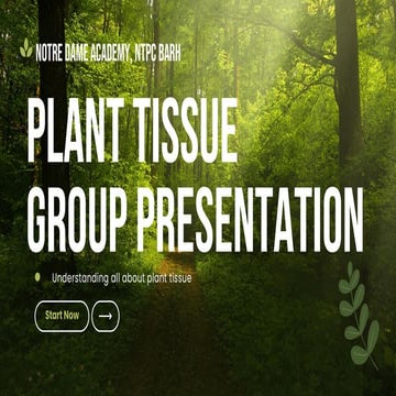 Plant tissue ppt class 9DOC-20241203-WA0001..pdf