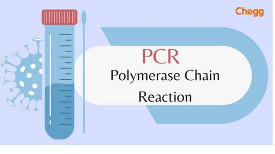 POLYMERASE CHAIN REACTION (PCR) | PPTX