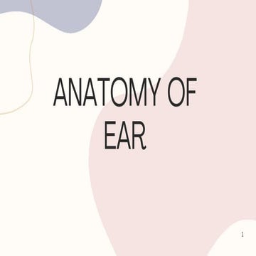 Anatomy of external ear and middle ear 1 | PDF