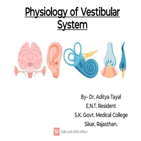 Comprehensive Overview of GABA: The Brain's Primary Inhibitory ...