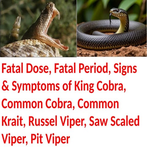 Fatal Dose, fatal Period & sign and symptoms of snake bites | PPTX