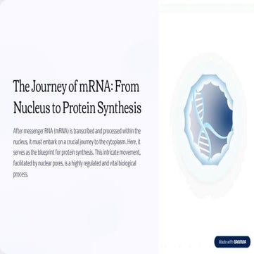 DOC-20251203-WA0051.Nuclear export of mRNA.pdf
