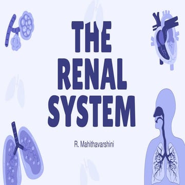 DOC-20260326-WA0000..pdf The renal system | PDF
