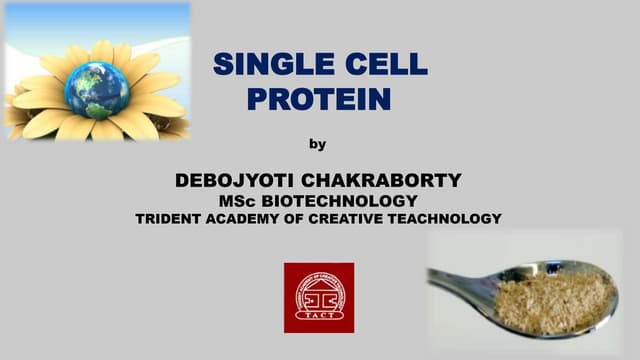 Single cell protein | PPTX | Chemistry | Science