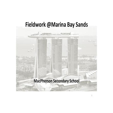 Fieldwork@ Marina Bay Sands | PDF