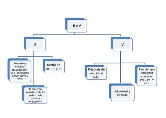 Pràctica 10 el ronyó | PPT