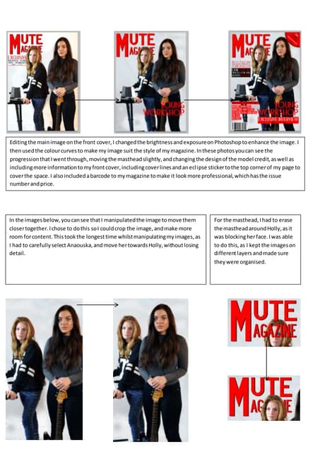 Image Manipulation Record | PDF