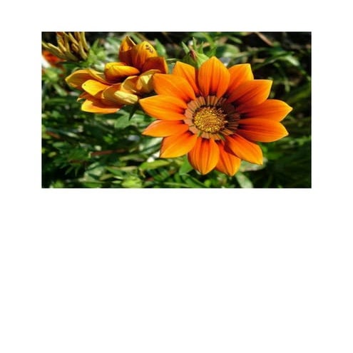 ΕΓΚΡΙΣΗ ΠΡΑΓΜΑΤΟΠΟΙΗΣΗΣ ΤΡΙΗΜΕΡΟΥ ΕΙΣΑΓΩΓΙΚΟΥ ΣΕΜΙΝΑΡΙΟΥ ΑΠΟ ΤΟ ΚΠΕ ...