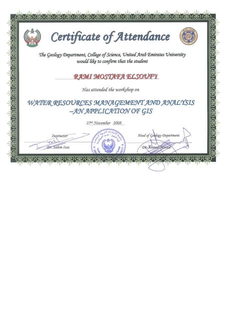 ICDL certificate | PDF