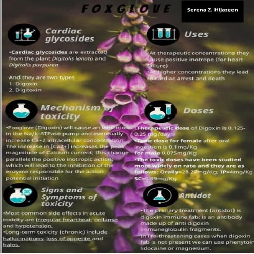 Digoxin-Foxglove, everything you need to know | PDF