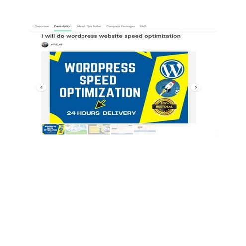 I will do WordPress website speed optimization | PDF