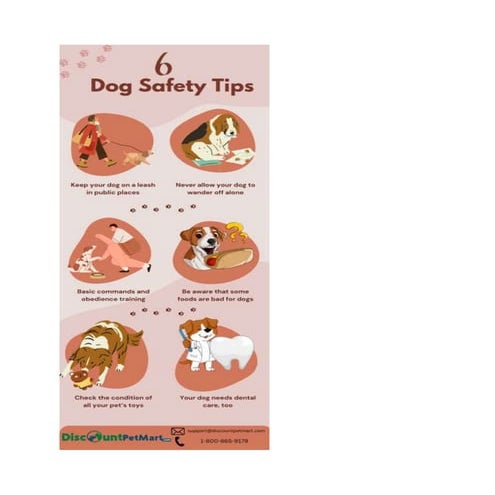 6 Dog Safety Tips You Should Know | DOCX