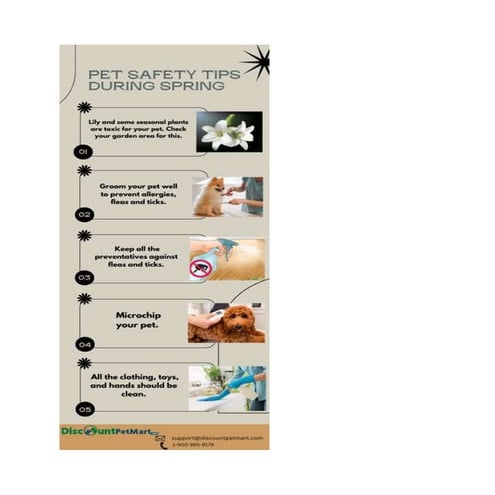 Pet Safety Tips During Spring | DOCX