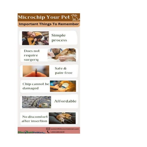 Microchip Your Pet - Important Thing to Remember | PDF